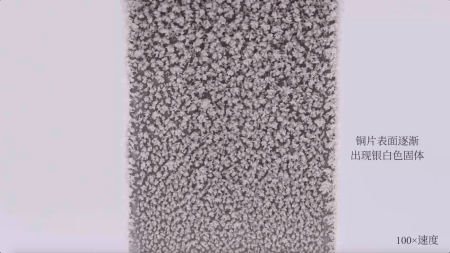 认识常见的酸_火花学院